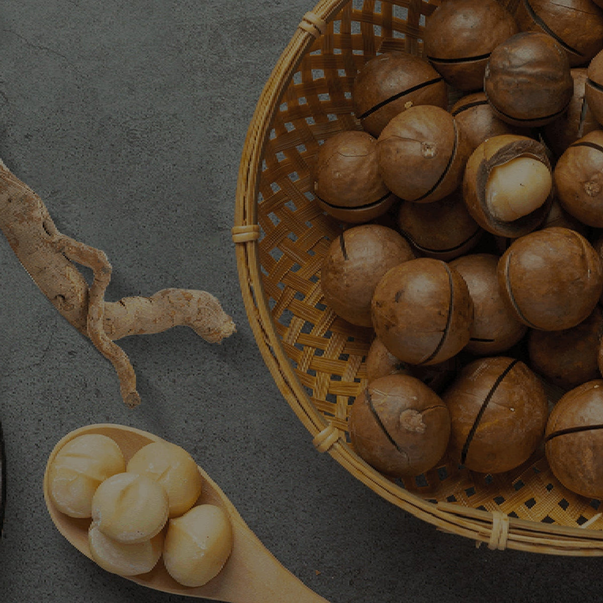 AG-REED IN-GREED(IENTS) – Day One Performance